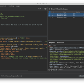 Introducing Burp Collaborator | Blog - PortSwigger