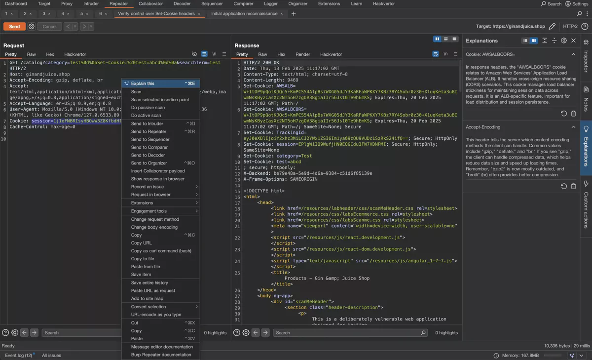 Burp AI Capabilities - PortSwigger