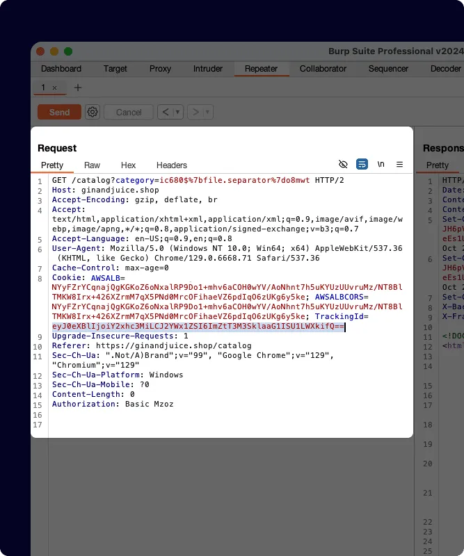 Features - Burp Suite Professional