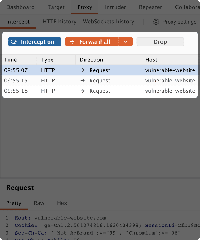 Features - Burp Suite Professional